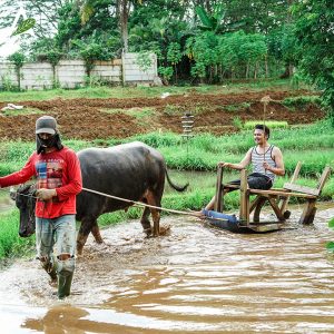 Inagro: Alamat, Daya Tarik, Harga Tiket Masuk & Penginapan 2025
