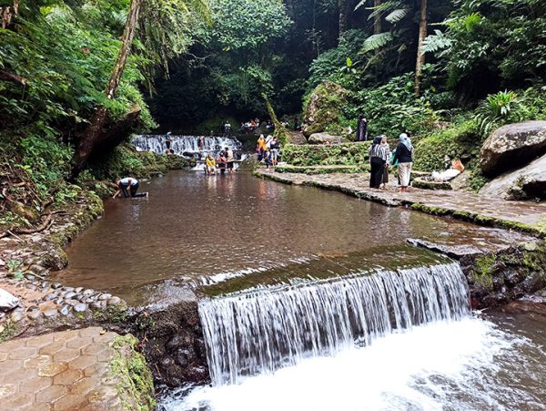 Curug Putri Palutungan: Sejarah, Lokasi, Daya Tarik & Harga Tiket