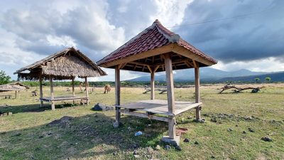Savana Tianyar: Lokasi, Daya Tarik, Jam Buka & Harga Tiket 2025