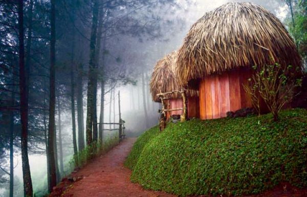 Goa Pinus Pujon: Harga Tiket Masuk, Lokasi & Jam Buka 2026