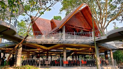 Heha Forest: Lokasi, Jam Buka & Harga Tiket Masuk 2025