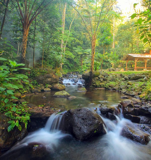 Curug Sadim Subang: Tiket Masuk, Lokasi, dan Jam Buka 2025