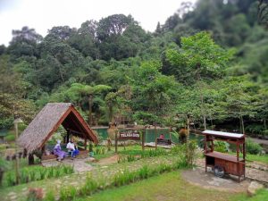 Telaga Batu Bogor: Rute, Daya Tarik & Harga Tiket Masuk 2025