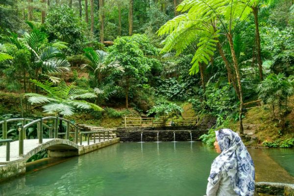Curug Cipeuteuy: Lokasi, Daya Tarik & Harga Tiket Masuk 2026