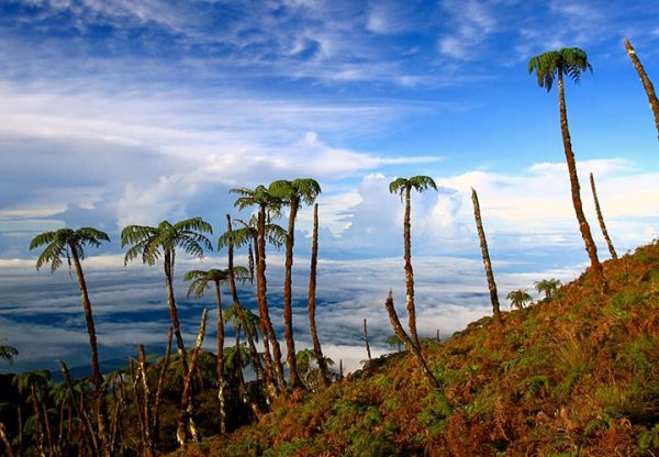Gunung Binaiya Maluku: Lokasi, Tiket & Daya Tarik 2026