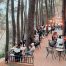 Cafe Daong: Lokasi, Keunikan, Menu, Harga, dan Jam Buka 2026