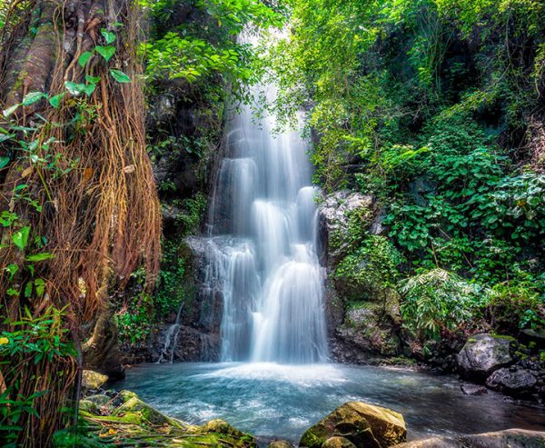 13 Tempat Wisata di Banjarnegara Terpopuler yang Hits 2025