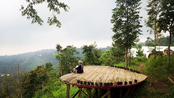 12 Tempat Wisata di Pacet Terbaru yang Lagi Hits dan Murah 2025