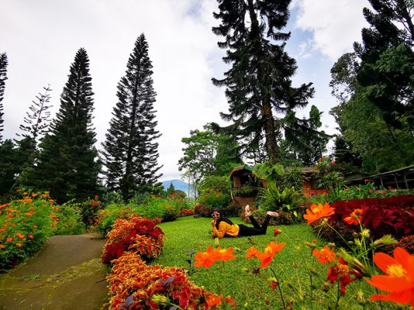 12 Tempat Family Gathering Bogor Dan Puncak Murah Terbaik