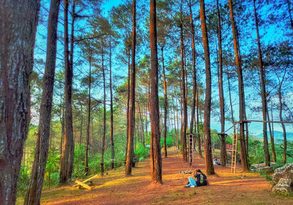 10 Tempat Wisata di Purworejo Terpopuler yang Sedang Hits 2025